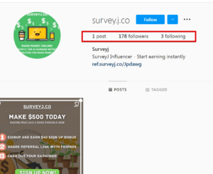 SurveyJ Co Review (Just Check the Red Flags & You Know...)