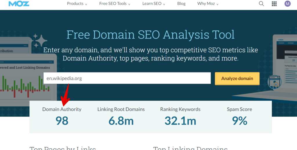 What Is An Authority Website? (And How To Create One?)