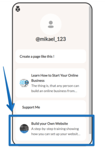 Snipfeed Review (Link-In-Bio Monetization Platform)