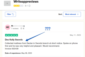 Is Write App Reviews Legit? (Can You Make $30/Hour?)